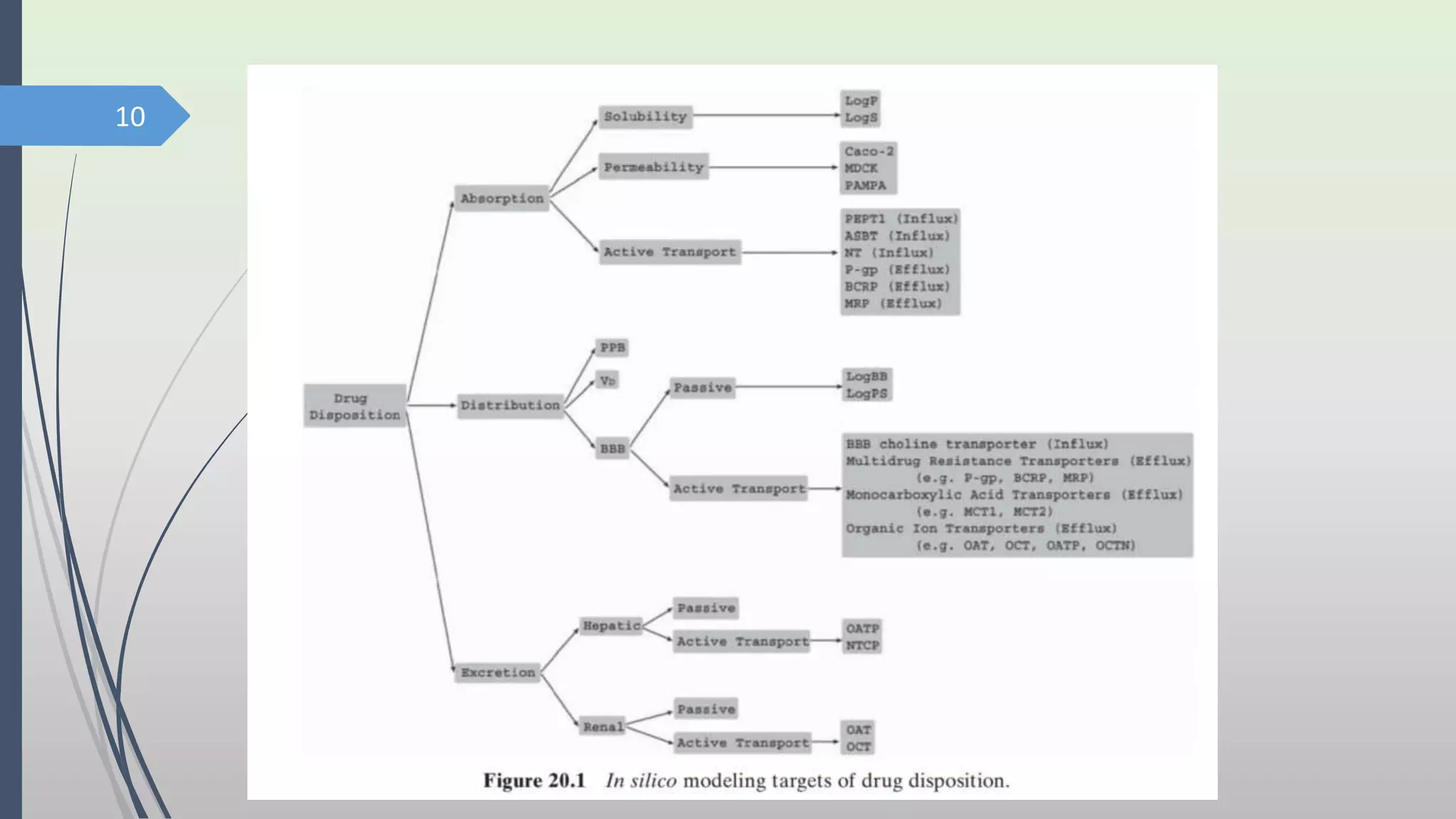 COMPUTATIONAL MODELING OF DRUG DISPOSITION.pptx