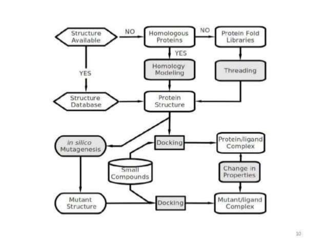 COMPUTATIONAL MODELLING OF DRUG DISPOSITION.pptx
