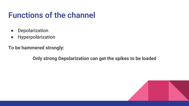 Computational Neuroscience Briefbasics Ppt
