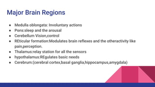 Computational neuroscience brief(basics) | PPT