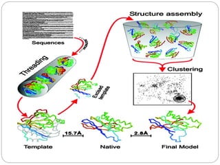 Computational predictiction of prrotein structure | PPTX