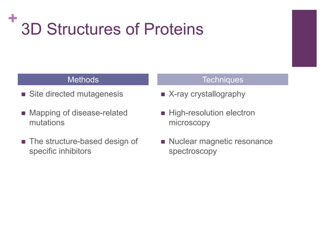 Modelling Proteins By Computational Structural Biology | PPT