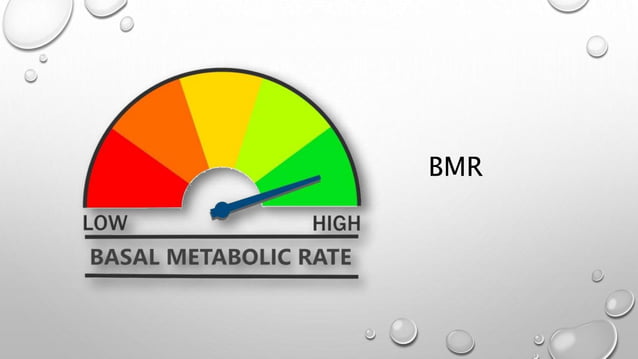 Computation of BMR and TDEE | PPTX