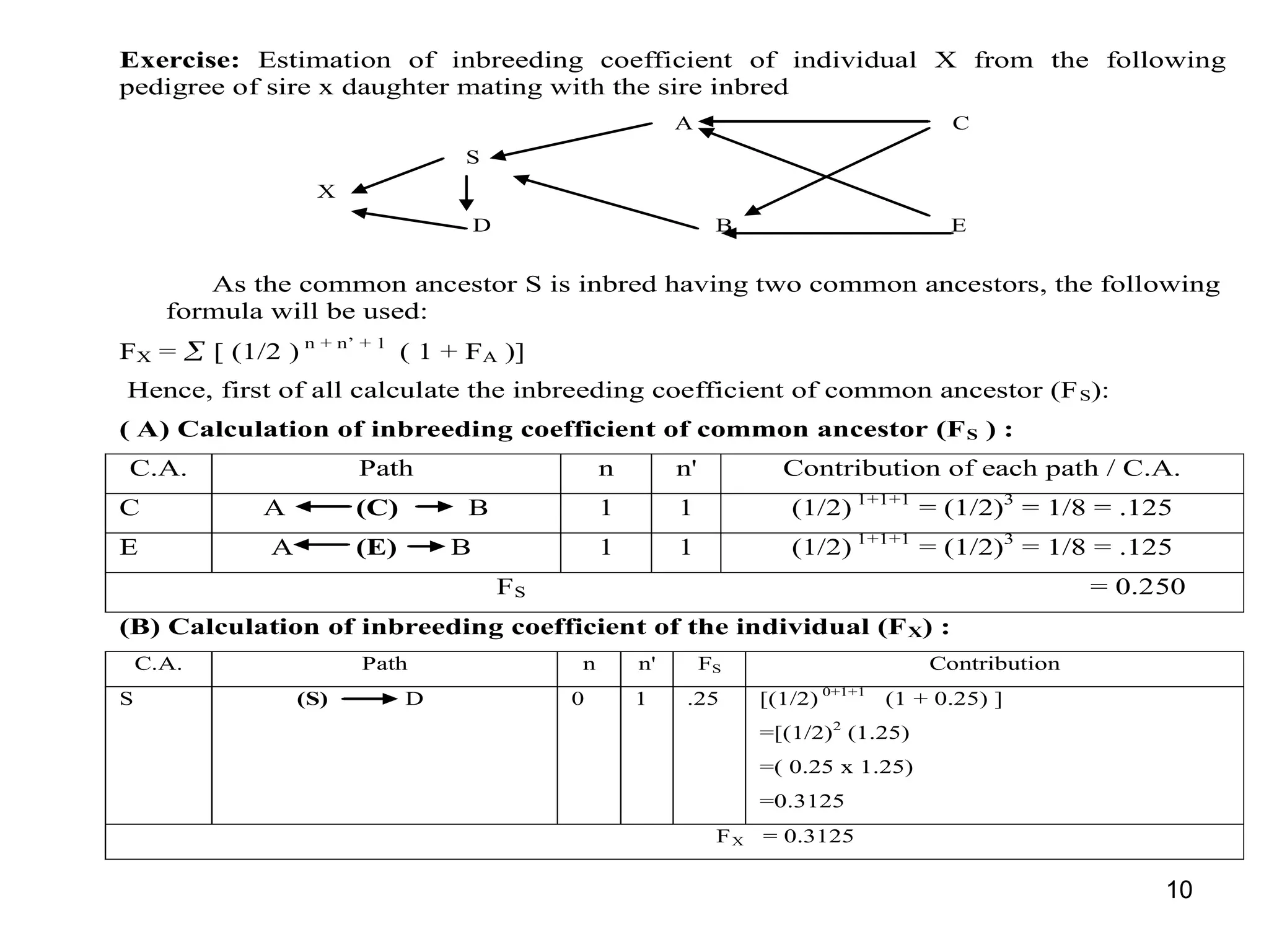 Computation of Inbreeding coefficient and coefficient of relation ship ...