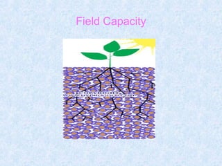 Computation of irrigation efficiency | PPT
