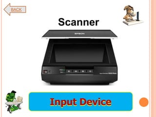 Five Primary Goups of Computer Hardware | PPTX