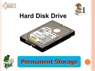 Five Primary Goups of Computer Hardware | PPTX