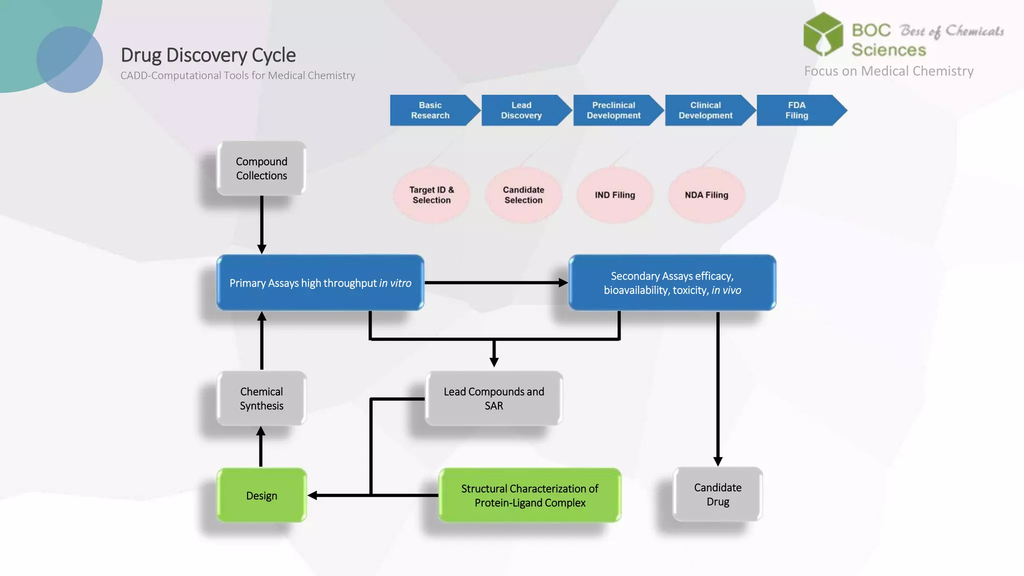 Computer aided-drug-design-boc sciences | PPTX