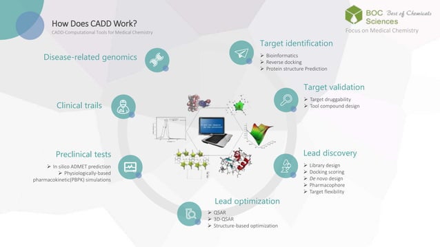 Computer aided-drug-design-boc sciences | PPTX