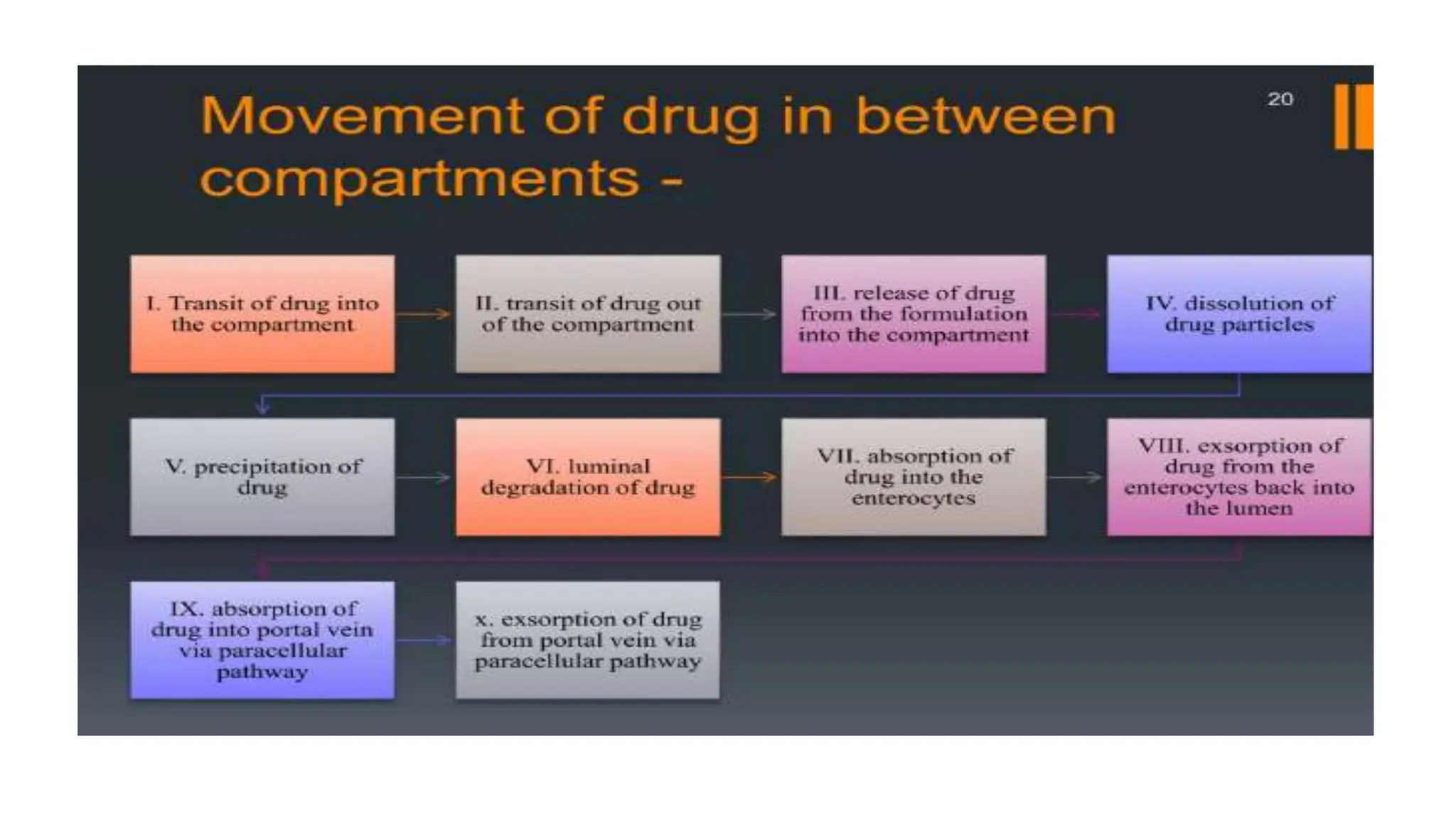 COMPUTER-AIDED BIOPHARMACEUTICAL CHARACTERIZATION AND THEORETICAL ...
