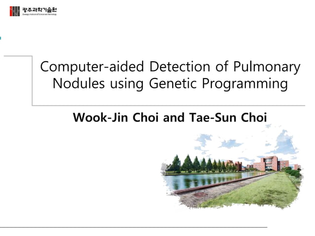 Computer Aided Detection Of Pulmonary Nodules Using Genetic Programming Ppt