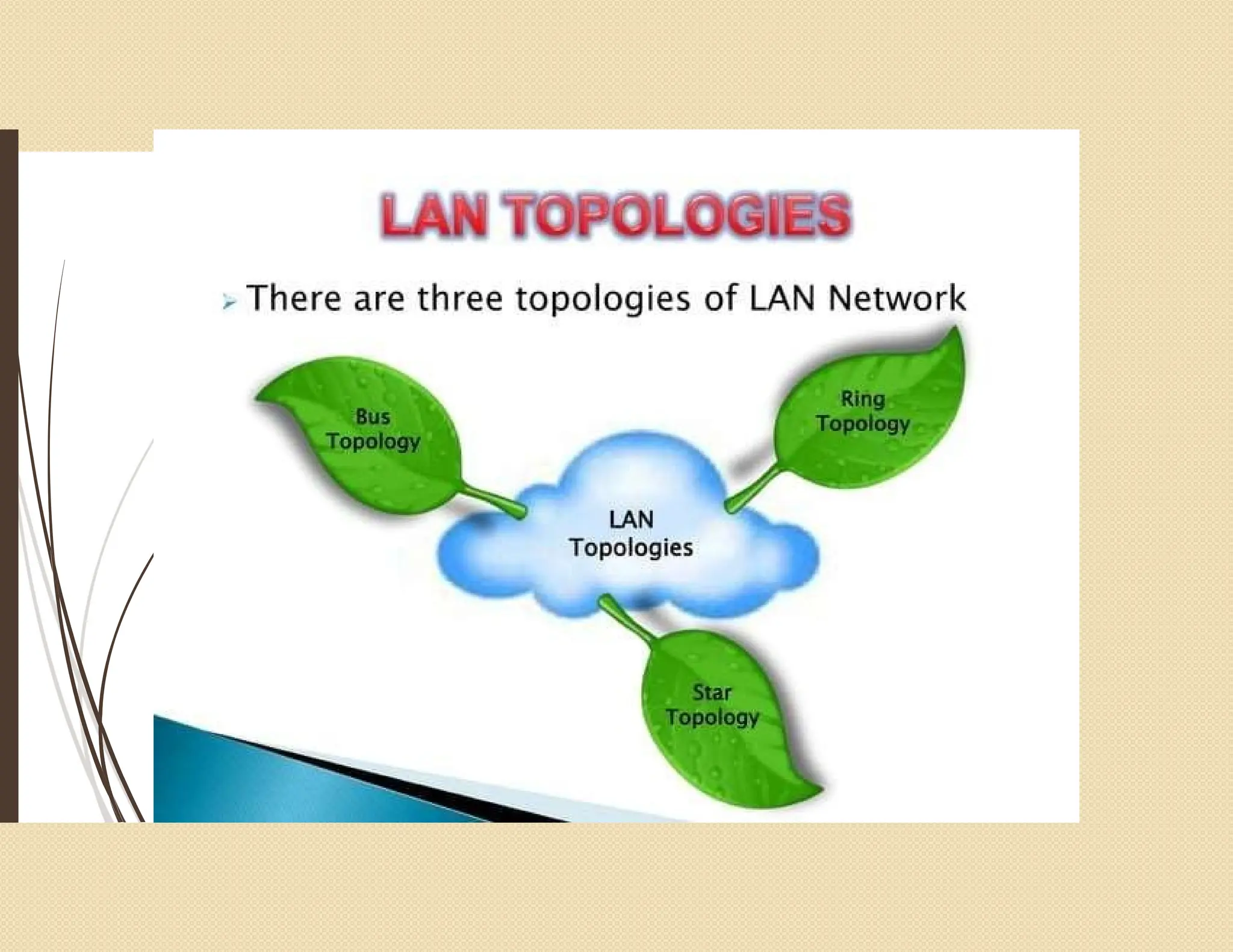 Computer Network LAN MAN WAN layout model | PPTX