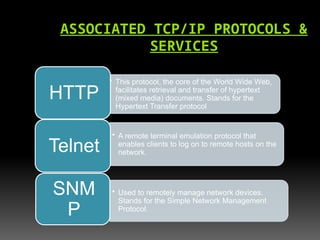 computer-ngsndhdhgsnsgdjgdhshaghshshshetworks.pptx
