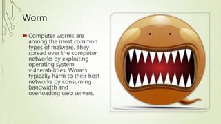 Computer-software (1).pptx