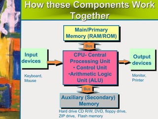 Computer-System-pratibha.pdf | Computer Peripherals | Computing