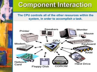 Computer-System-pratibha.pdf | Computer Peripherals | Computing