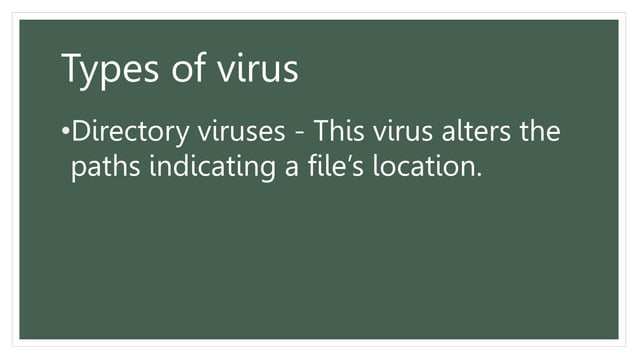 PowerPoint presentation about computer virus | PPTX