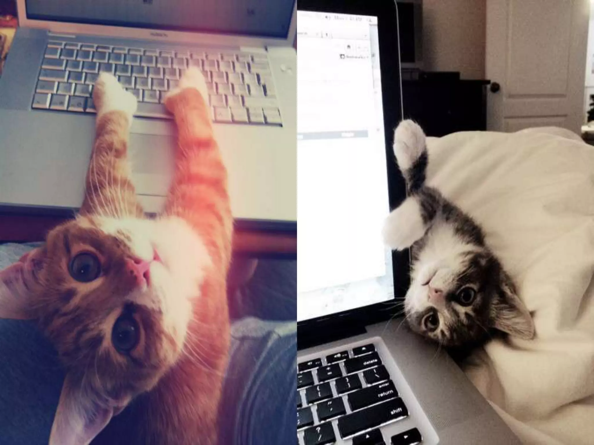 Computer addiction | PPTX