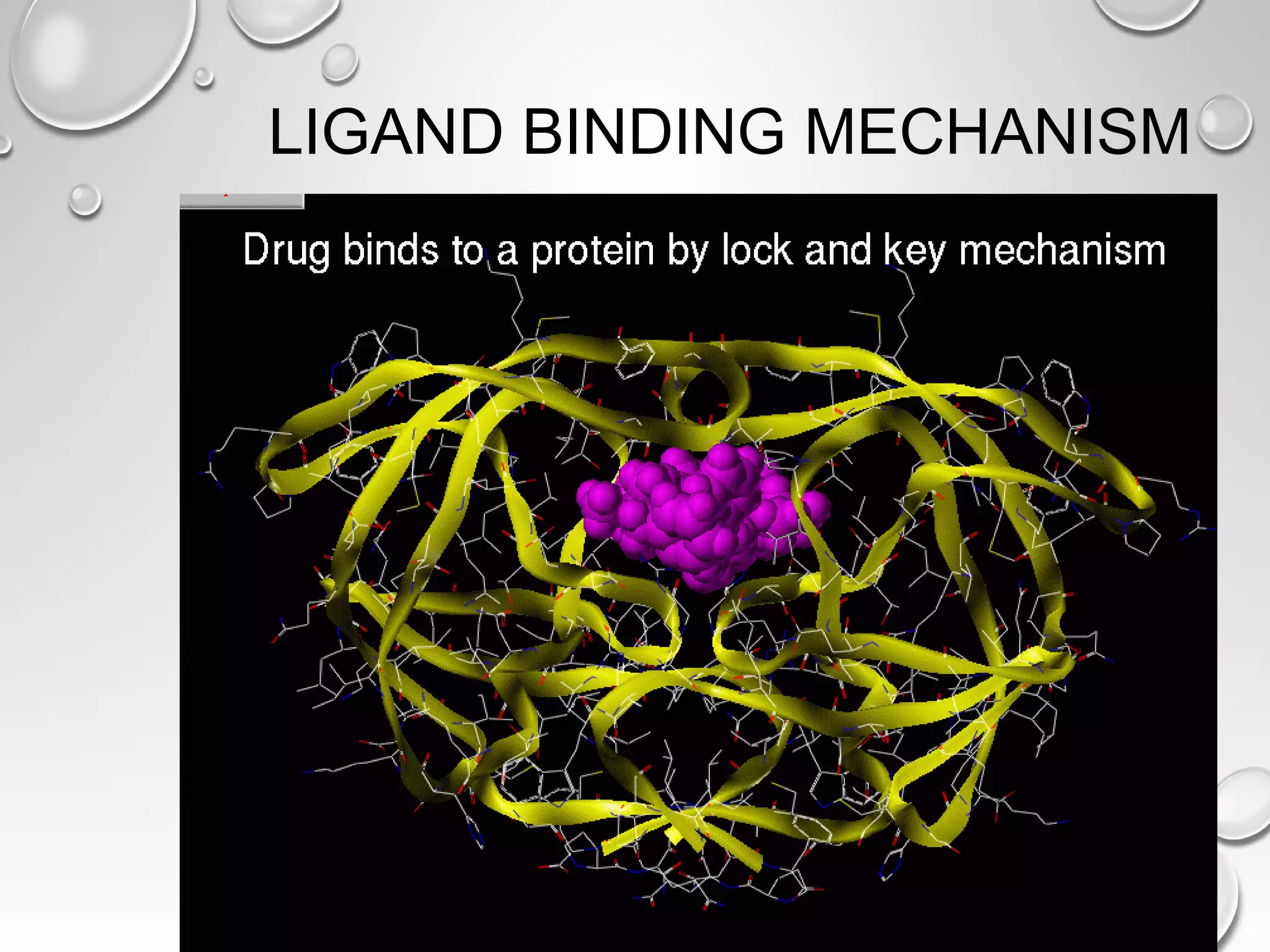 Computer aided drug designing | PPT