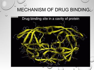 Computer aided drug designing | PPT