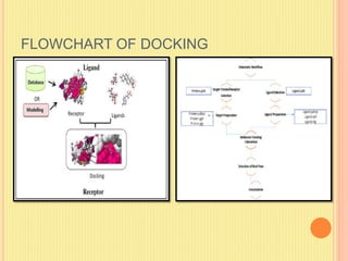COMPUTER AIDED DRUG DESIGN.pptx