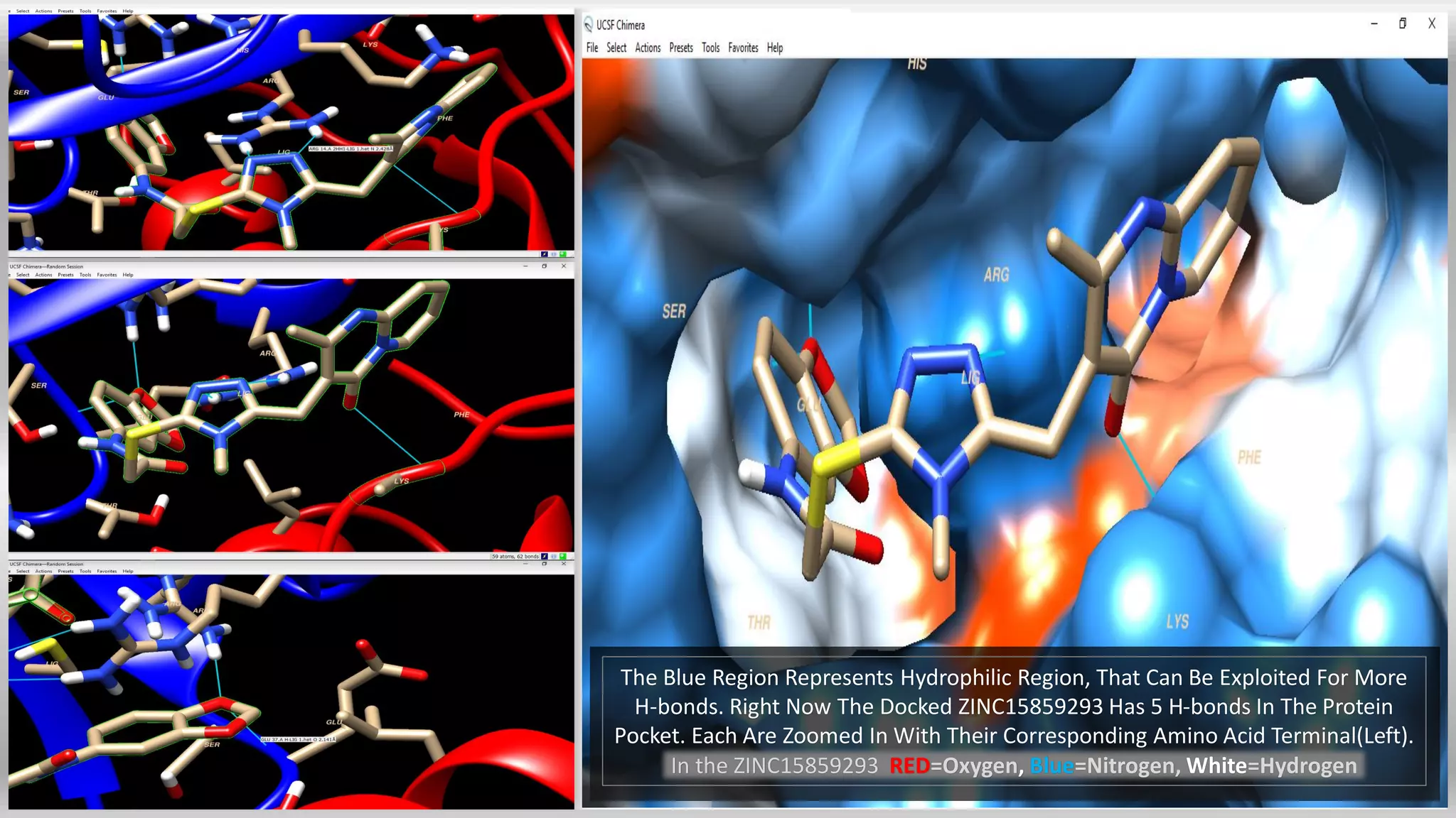 Computer aided drug designing | PPT