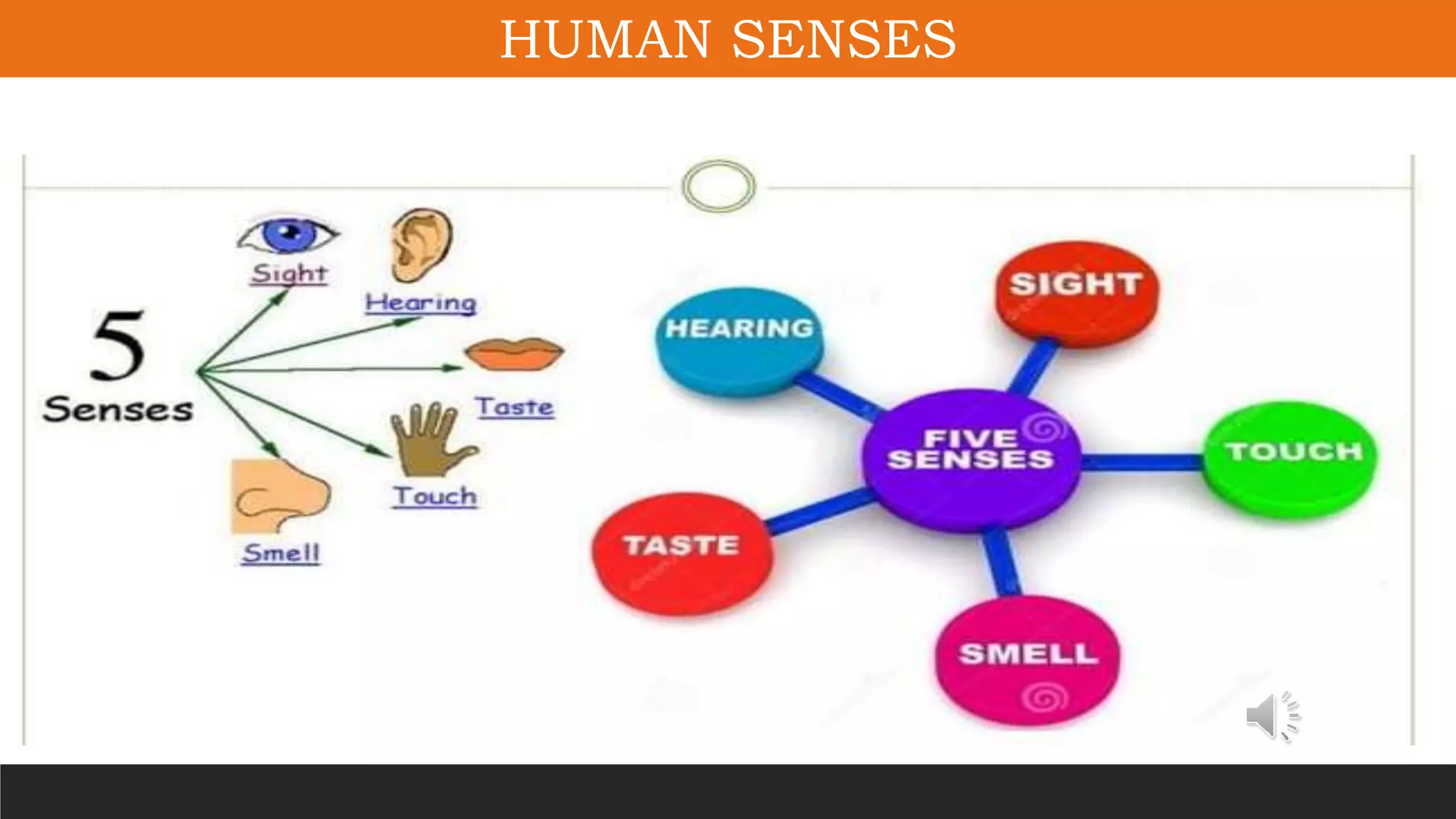 computer aided sensory evaluation.pptx