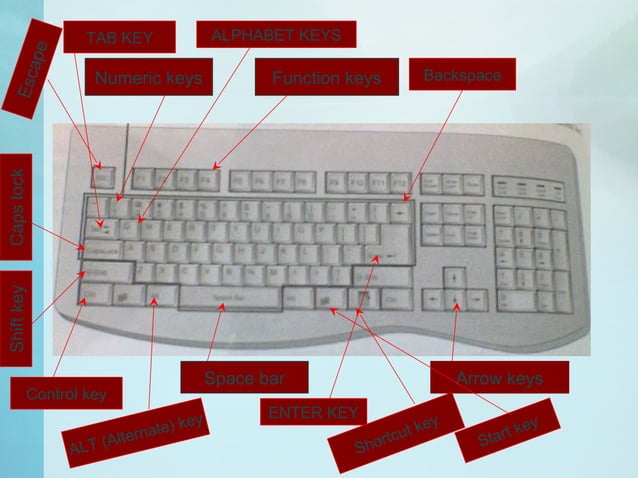 Computer and computation | PPT