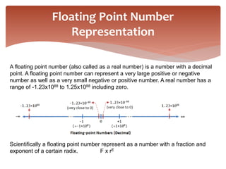 Representation of Integers | PPTX