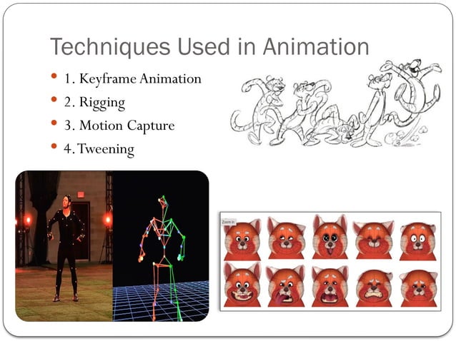 Computer. Animation. .pptx