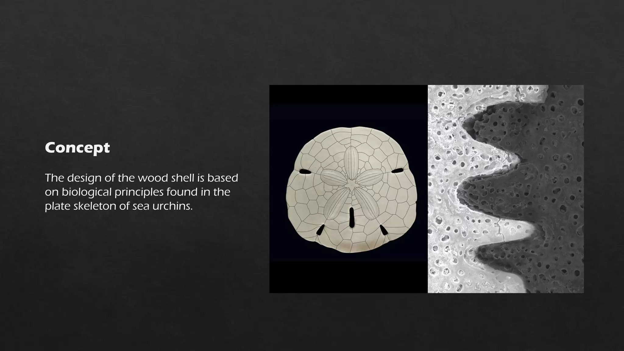 Parametric shell structure | PDF