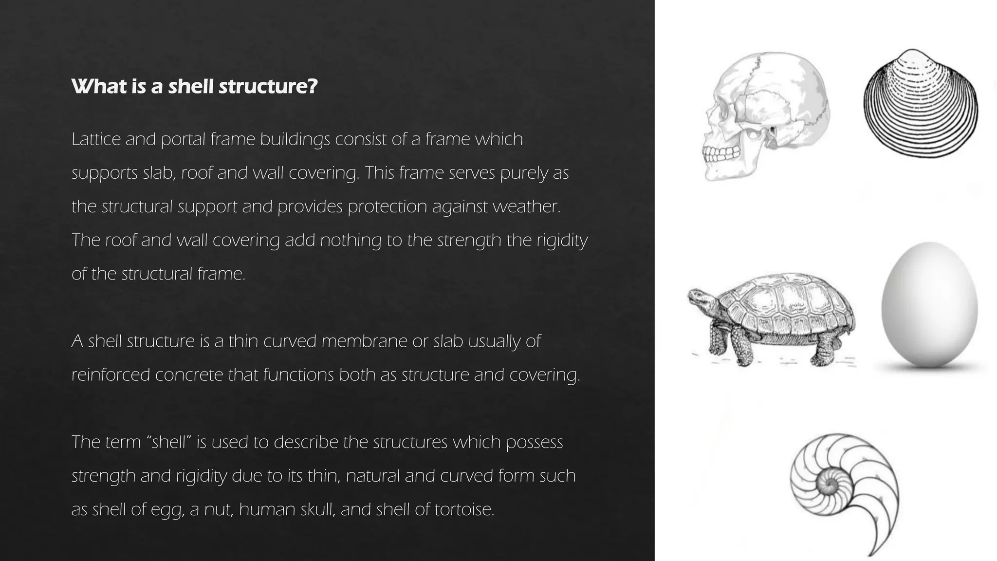Parametric shell structure | PDF | Geology | Science