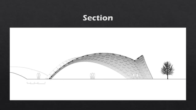 Parametric shell structure | PDF | Geology | Science