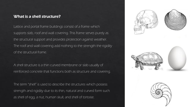 Parametric shell structure | PDF | Geology | Science