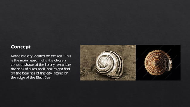 Parametric shell structure | PDF | Geology | Science