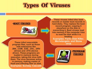 Computer Virus. | PPT