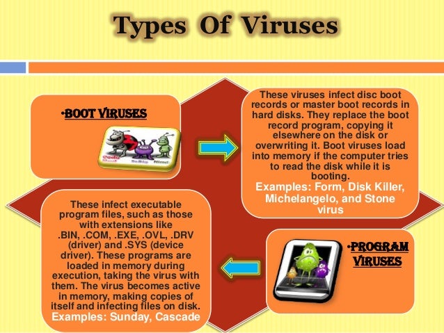 Computer Virus.