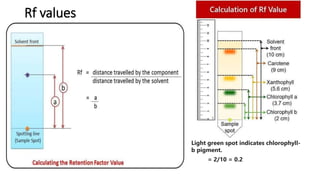 computer application bioinstument and biostatistics Neha yadav.pptx