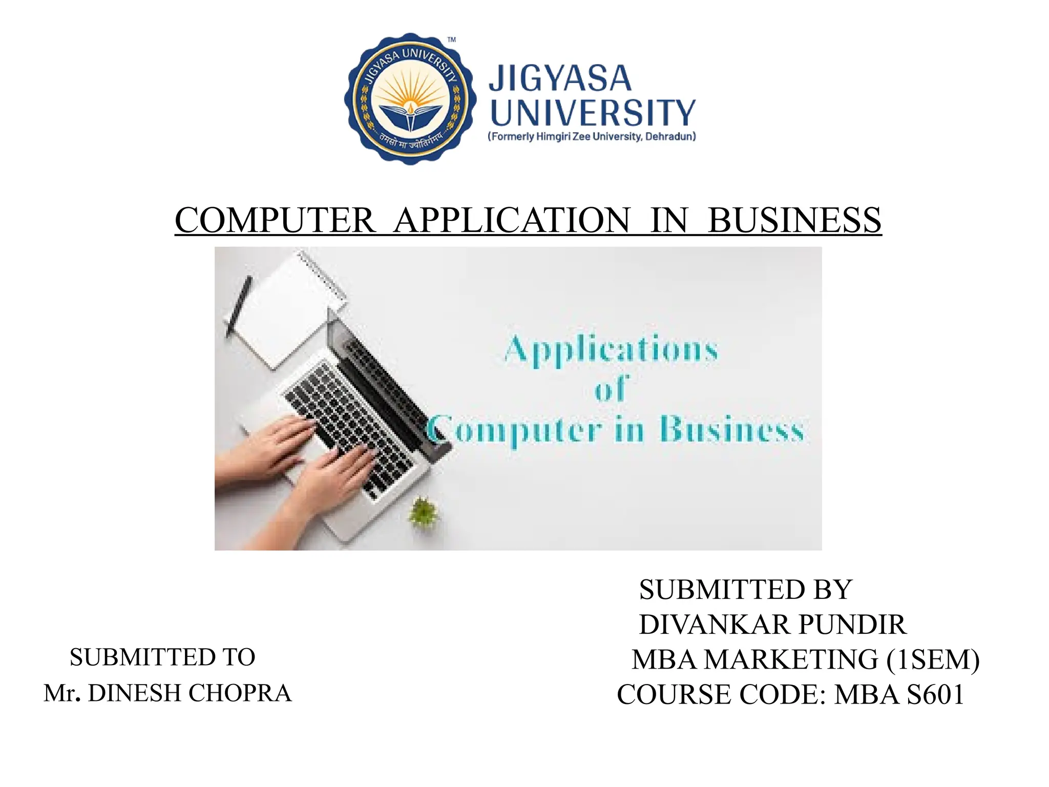 COMPUTER_APPLICATION_IN_BUSINcjxzcxkvxhkvxvkx | PPTX