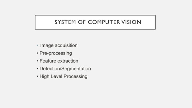 Computer architecture for vision system | PPT