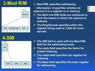 Computer architecture instruction formats | PPTX