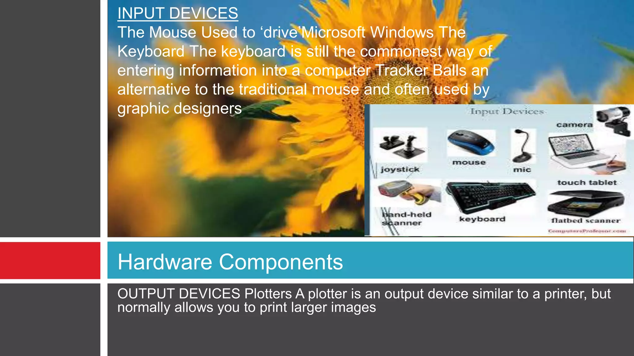 Computer basics | PPTX