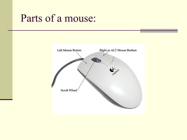 Computer Basics 101 Slide Show Presentation | PPT