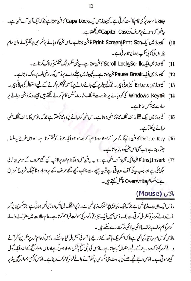 Computer Book (Urdu) .pdf