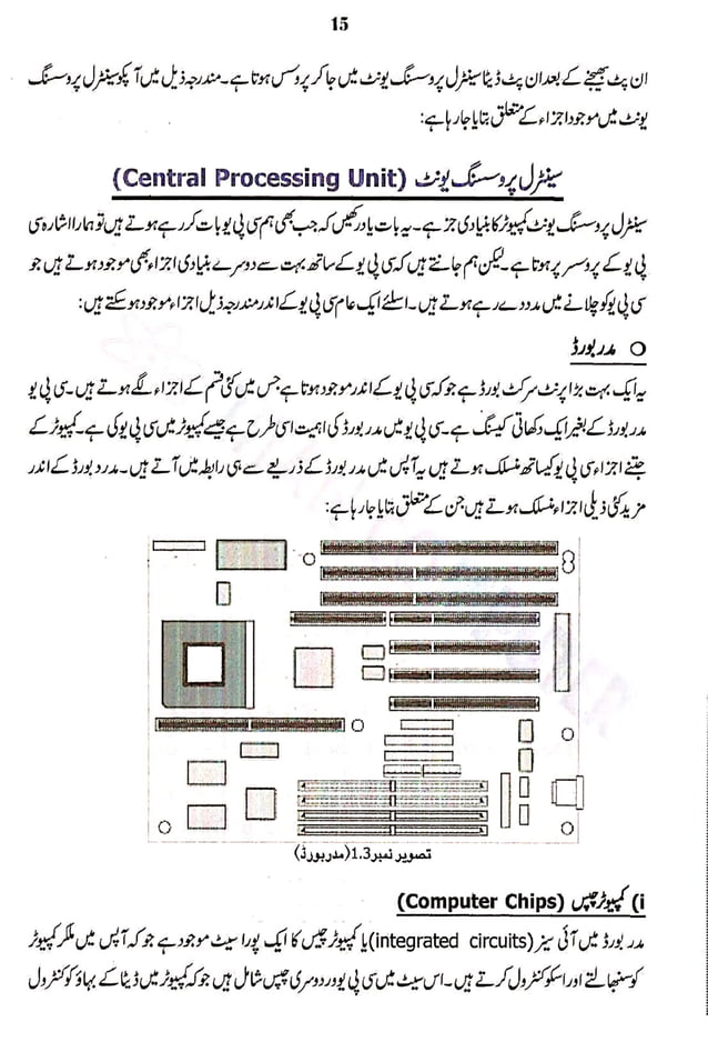 Computer Book (Urdu) .pdf