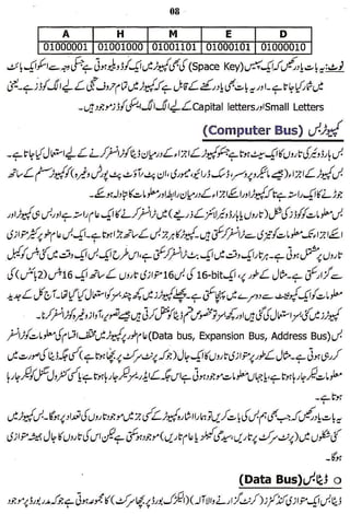 Computer Book (Urdu) .pdf