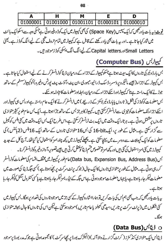 Computer Book (Urdu) .pdf