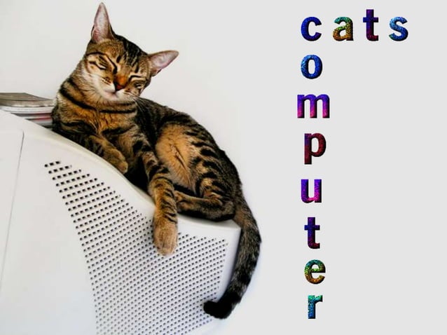 COMPUTER CATS | PPT