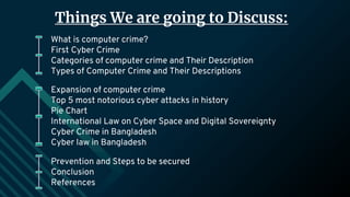 Computer Crime | PPTX