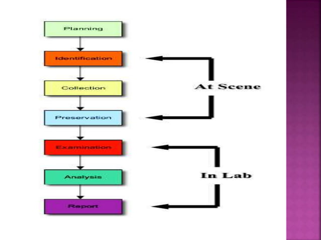 computerforensics-140529094816-phpapp01 (1).pdf